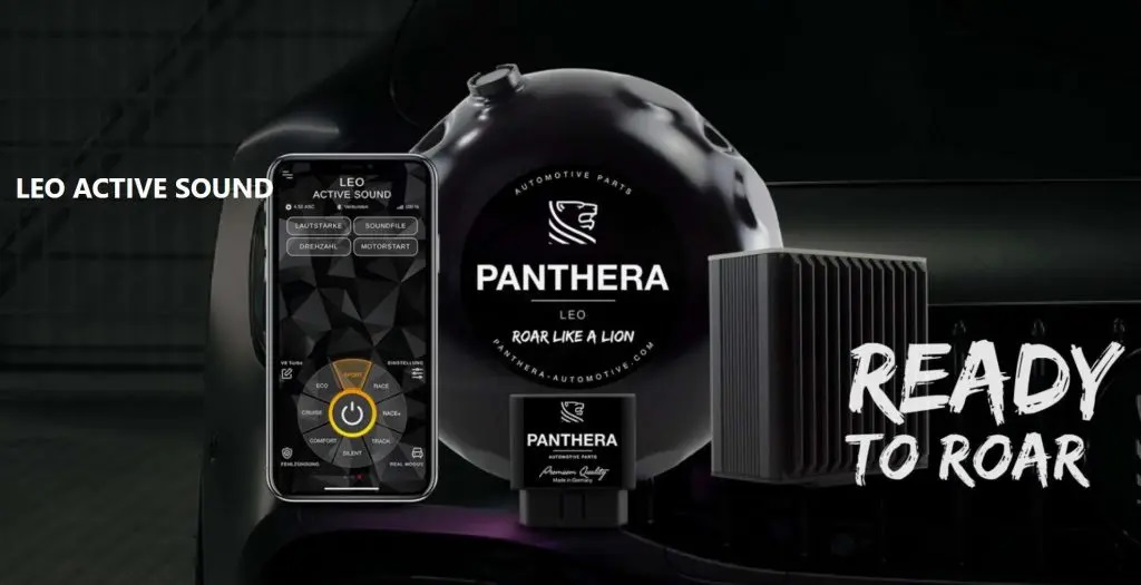 PANTHERA LEO ACTIVE SOUND | Studie[スタディ]