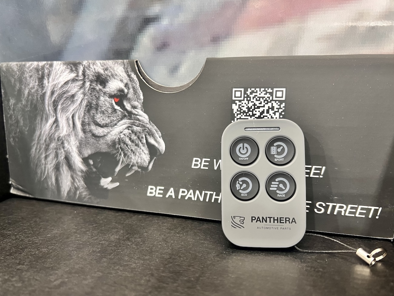 次世代エキゾーストサウンドPANTHERA LEO ACTIVE SOUND G05Lciモデルに装着 | Studie[スタディ]